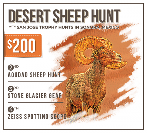 Montana WSF online raffles - Montana Wild Sheep Foundation